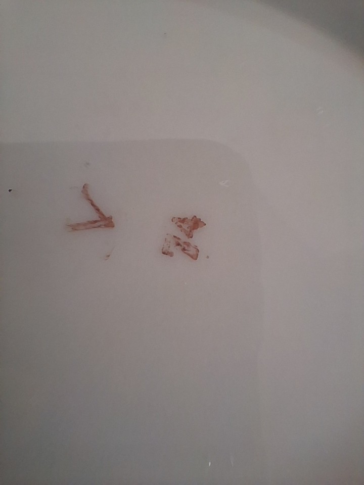 VTG Hutschenreuther Selb Bavaria Floral Oval Serving Bowl 10 1/8 ...