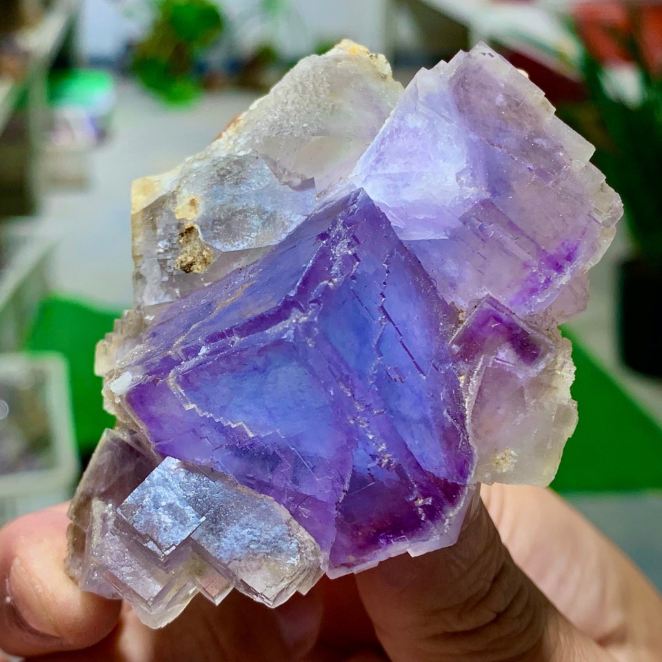 132G Rare transparent purple green cubic fluorite mineral crystal ...