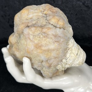 Kentucky Rock Shop Geodes & Agates | eBay Stores