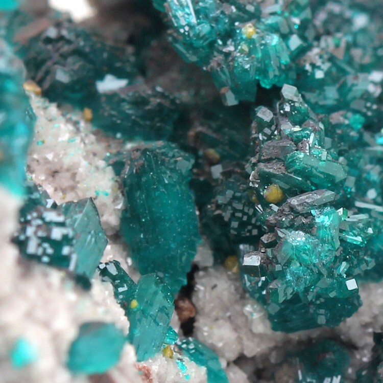 DIOPTASE WULFENITE Crystal Mineral Specimen Cluster Green CONGO AFRICA ...