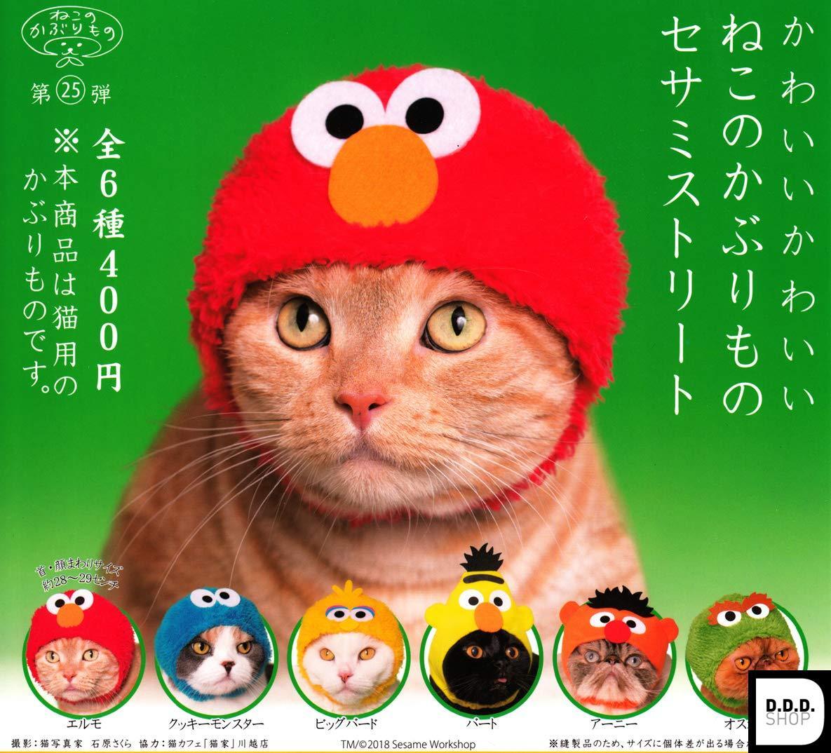Sesame Street Cat