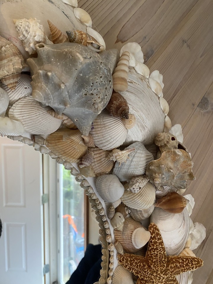 GRANDE Shell CRAFT Round 28” x 28” Natural Art Handmade Concha XXL | eBay