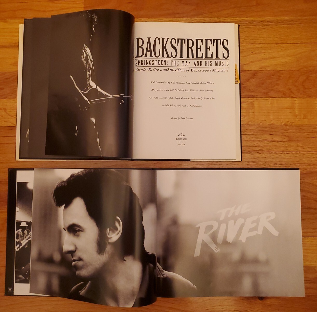 BRUCE SPRINGSTEEN BOOKS Backstreets Man & Music Ties That Bind River ...