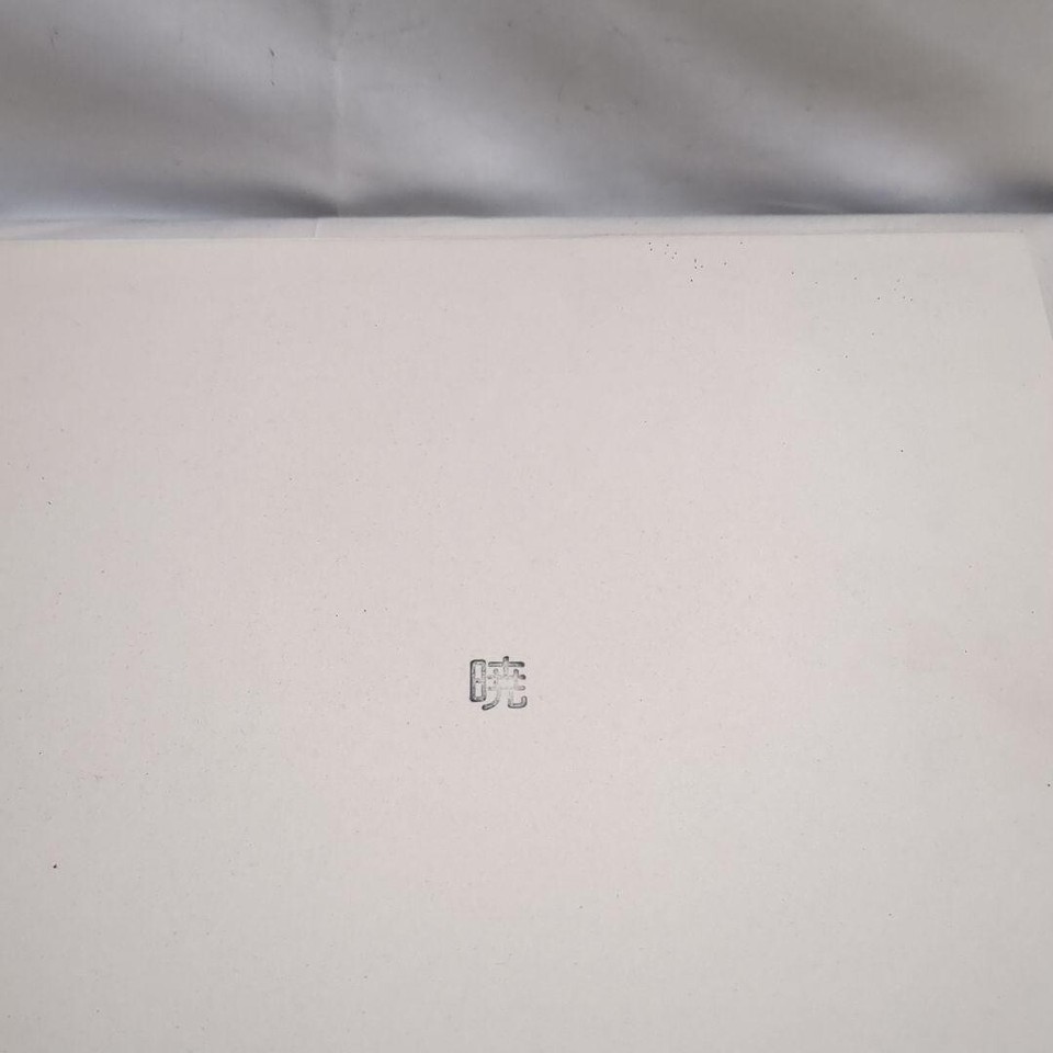 Nobumoto Akatsuki Japanese Old Graver Gouge chisel Nomi Set of 10 W ...