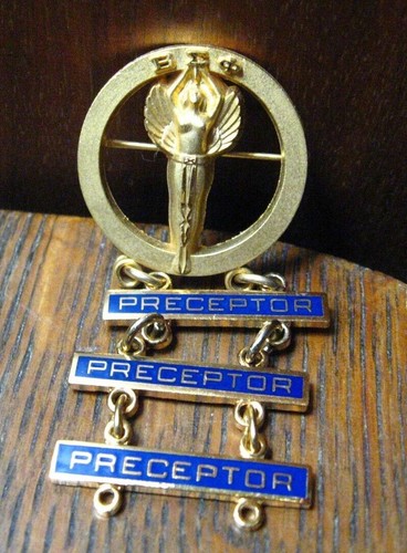 ΒΣΦ Beta Sigma Phi Vintage Lapel Pin - Sorority Officer Member ...