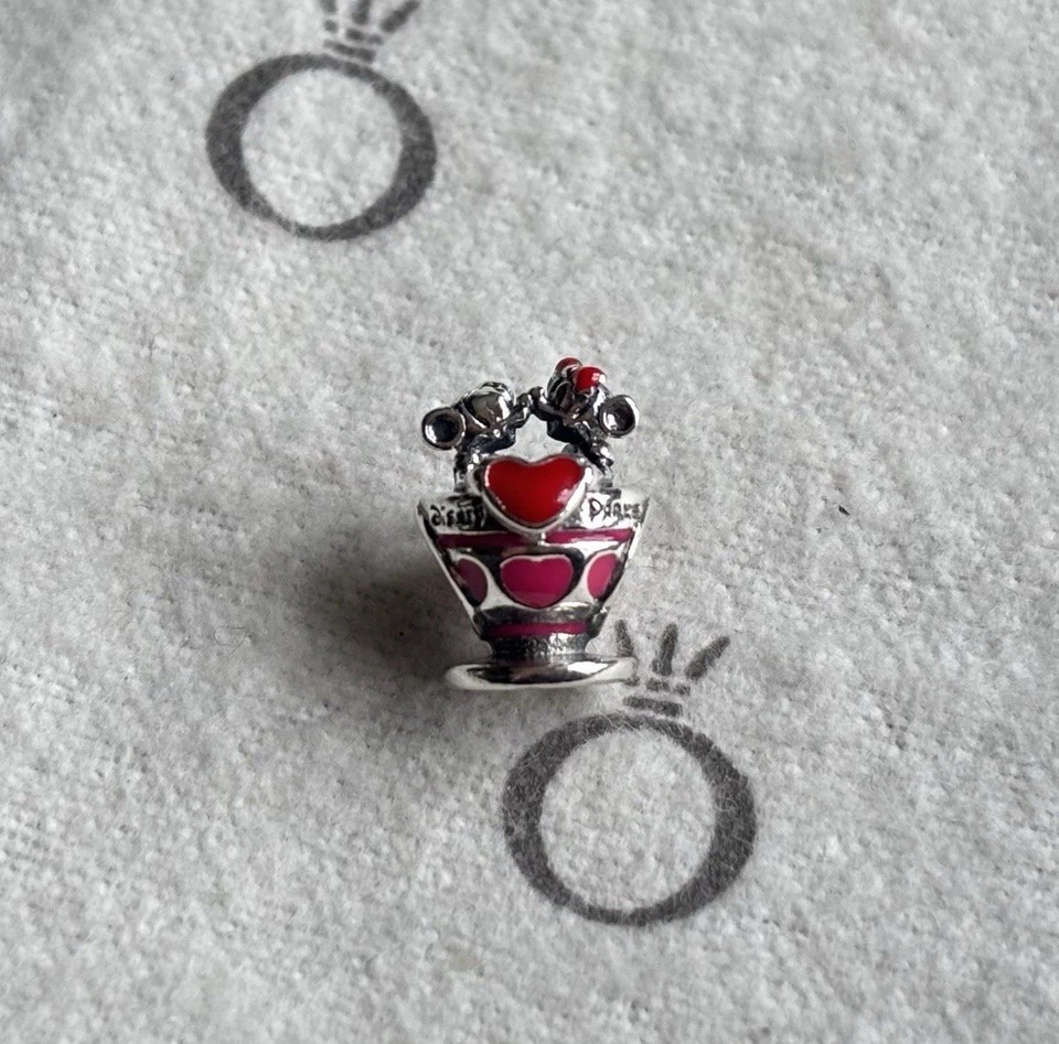 Pandora S925 ALE - CUSTOM ORDER | eBay UK