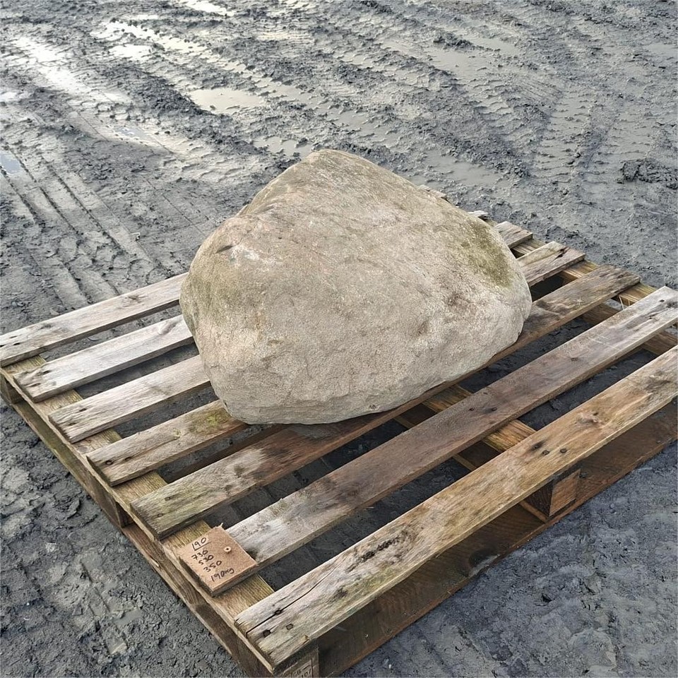 Celtic Glacial boulder / garden & rockery feature stone (Boulder 190 ...
