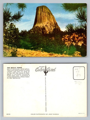 Devils Tower, WY-Wyoming, Scenic Volcanic Rock View Vintage Postcard | eBay