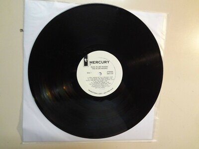 BLUES MAGOOS: Basic Blues Magoos-U.S. LP 1968 Mercury SR- 61167 Stereo ...