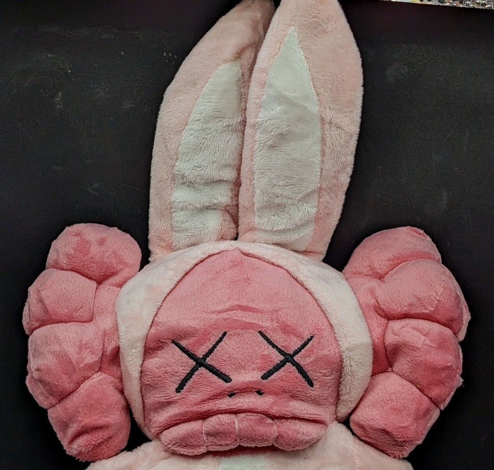 Pink Accomplish Cute Kawed Kawopa Bunny Ears Figure Plush Toy, Plush ...