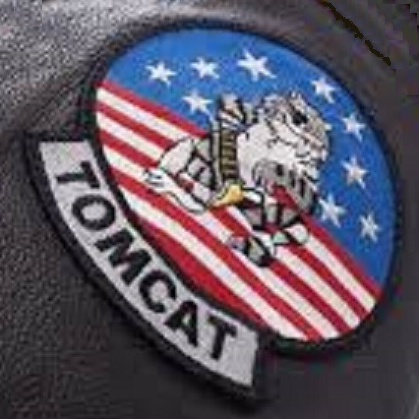 as seen on movie TOP GUN GENUINE ORIGINAL F-14 TOMCAT 9-⭐-Star burdock ...