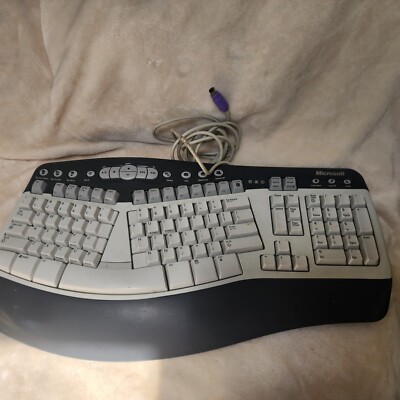 Microsoft Natural MultiMedia Keyboard 1.0A Ergonomic Gray White ...