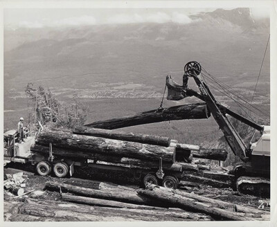 LOGGING TRUCK OPERATIONS ~ c. - 1950 | eBay
