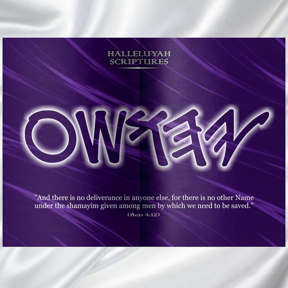 Hebrew/English Parallel Bible Only One of Its Kind & Extra Book | eBay