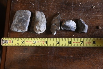 Stegosaurus Fossil Bone Cabin Quarry Jurassic Wyoming WY LOT OF 5 | eBay