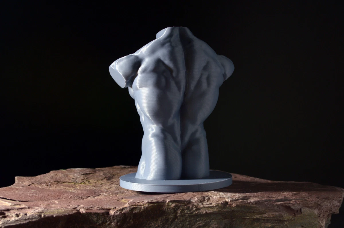 Figure Drawing Reference Models Back