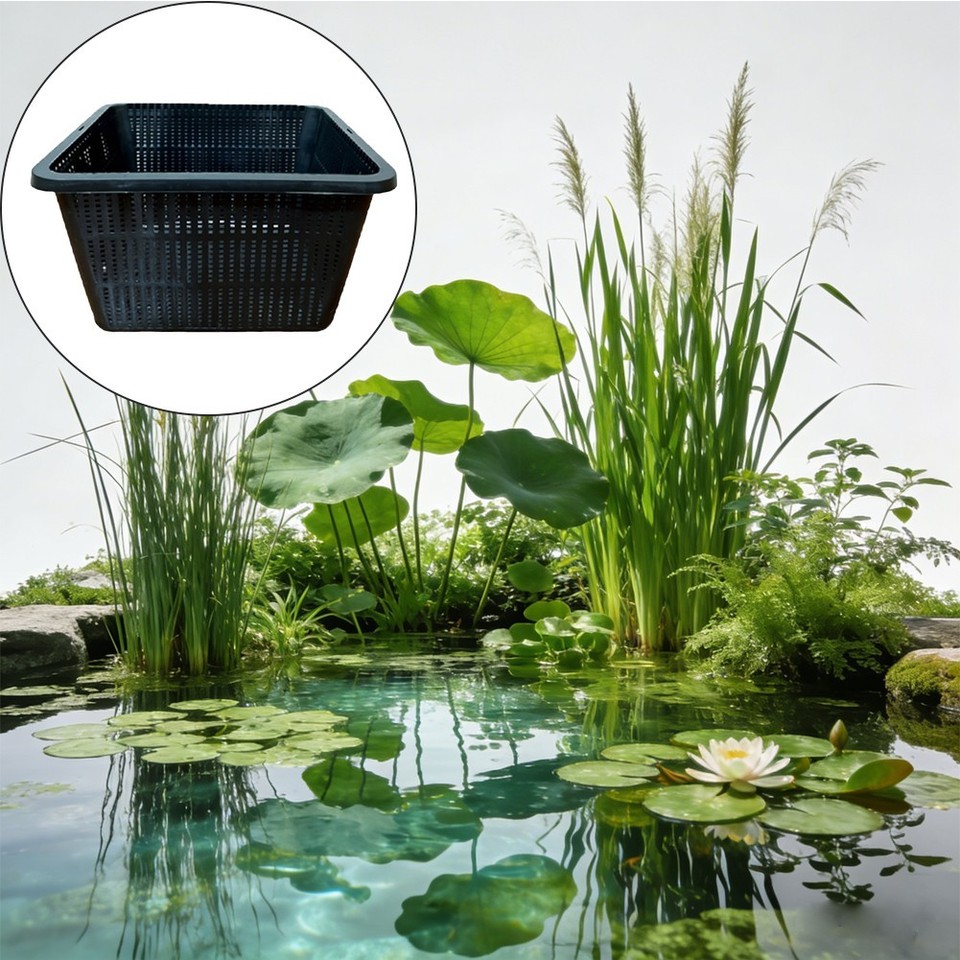 For Hydroponics Aquatic Plant Basket For Pond Decoration Promotes Root ...