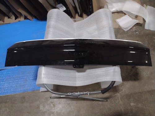 2025 Cadillac Escalade iQ Tail Finish Panel 3058935 | eBay
