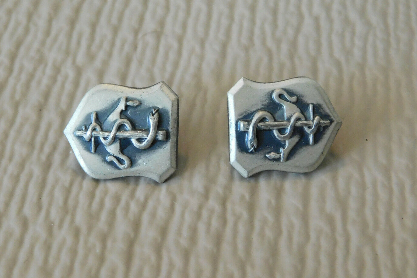 Vintage USAF Air Force Basic Flight Nurse Pin, Snake Lamp, Set of 2 | eBay