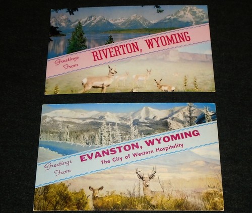 Evanston & Riverton Wyoming 1960's Vintage Mid Century Postcards | eBay