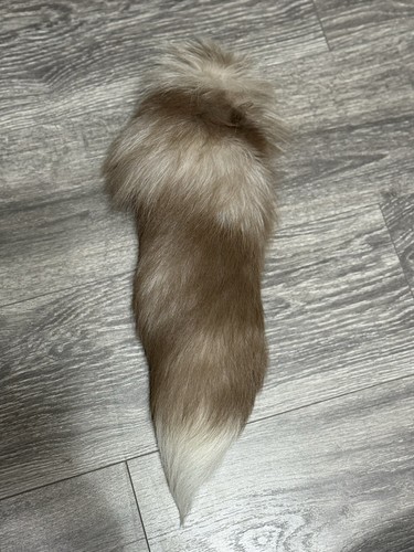 Gorgeous Amber Fox Tail, Huge Fluffy 20 Inch Fox Tail With A Keychain ...