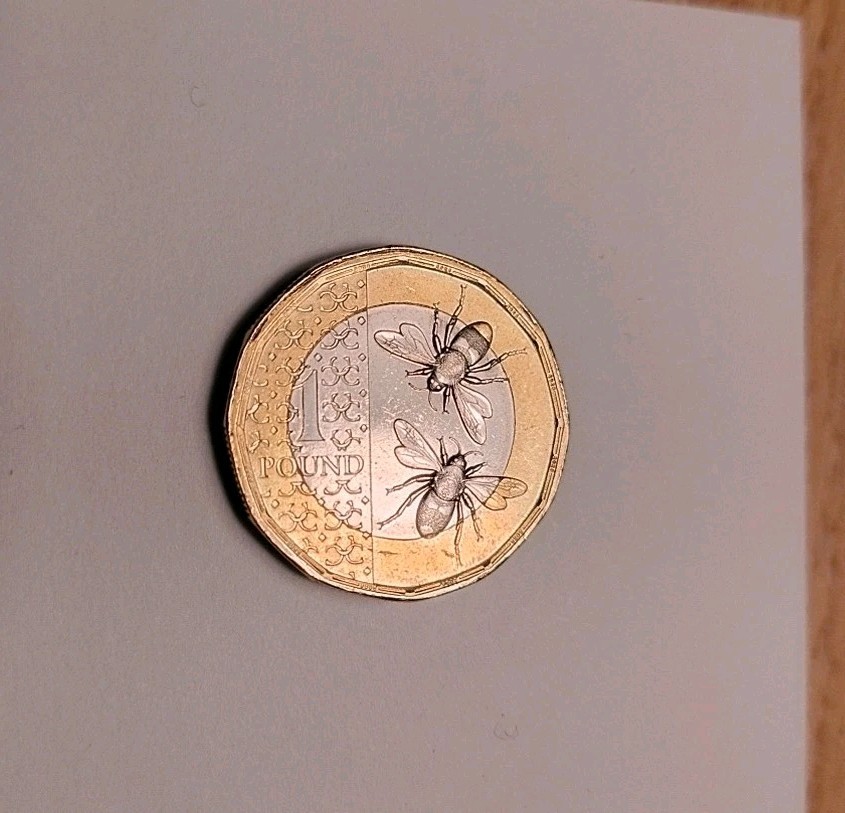 2023 King Charles £1 Pound Coin Bees, Circulated | eBay UK