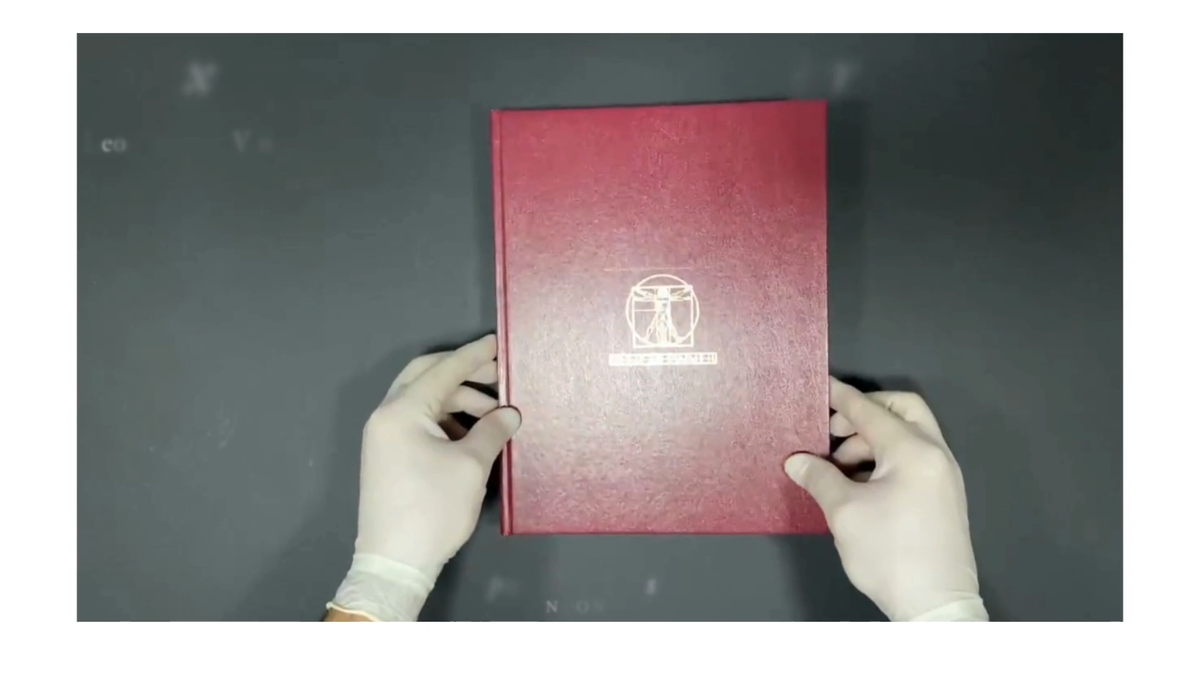 Codex Hammer Facsimile Edition National Letters: Languages And Scripts