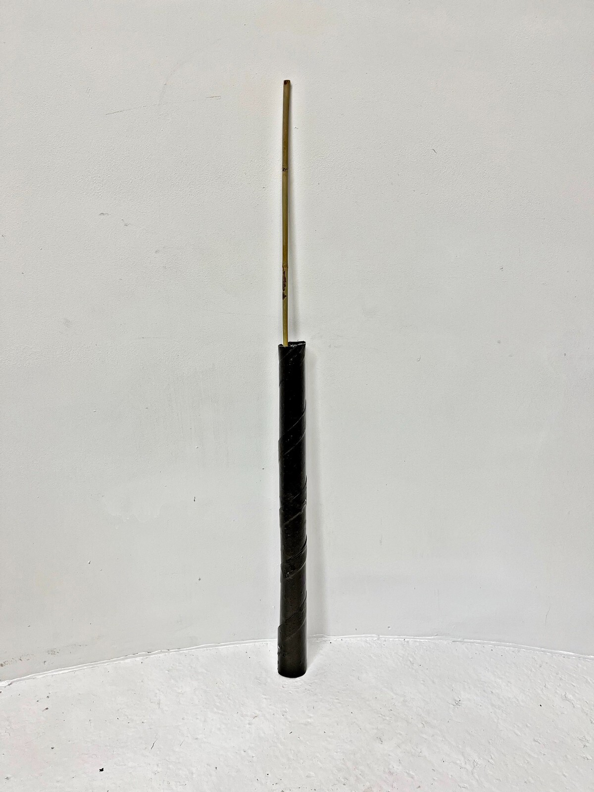 100 Spiral Hedge Tree Plant Rabbit Guards barrier with canes, 60cm tall ...