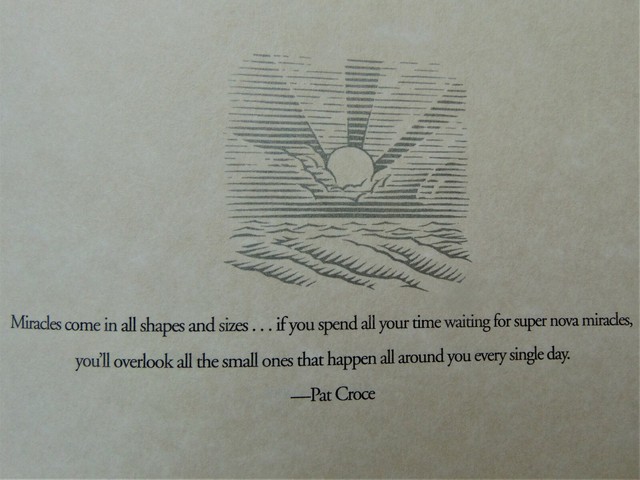 Pat Croce's Victory Journal by Pat Croce (2003, Trade Paperback) for ...