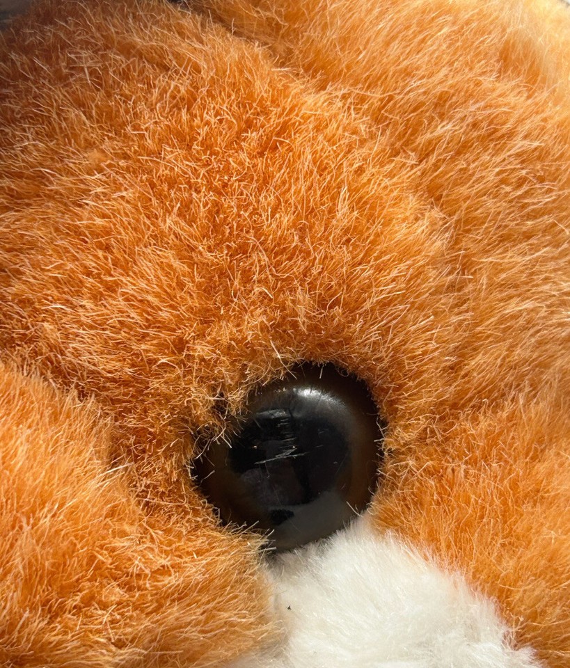 Asia Direct Inc Fox Plush 2012 Tri-Color Stuffed Animal Toy 9” Tall ...