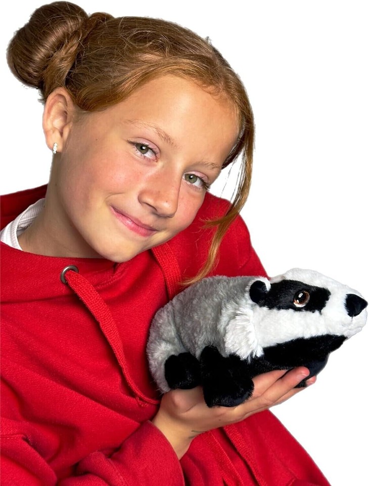 Keel Toys Keeleco Badger 25cm Small Cuddle Stuffed Soft Toy Plush ...