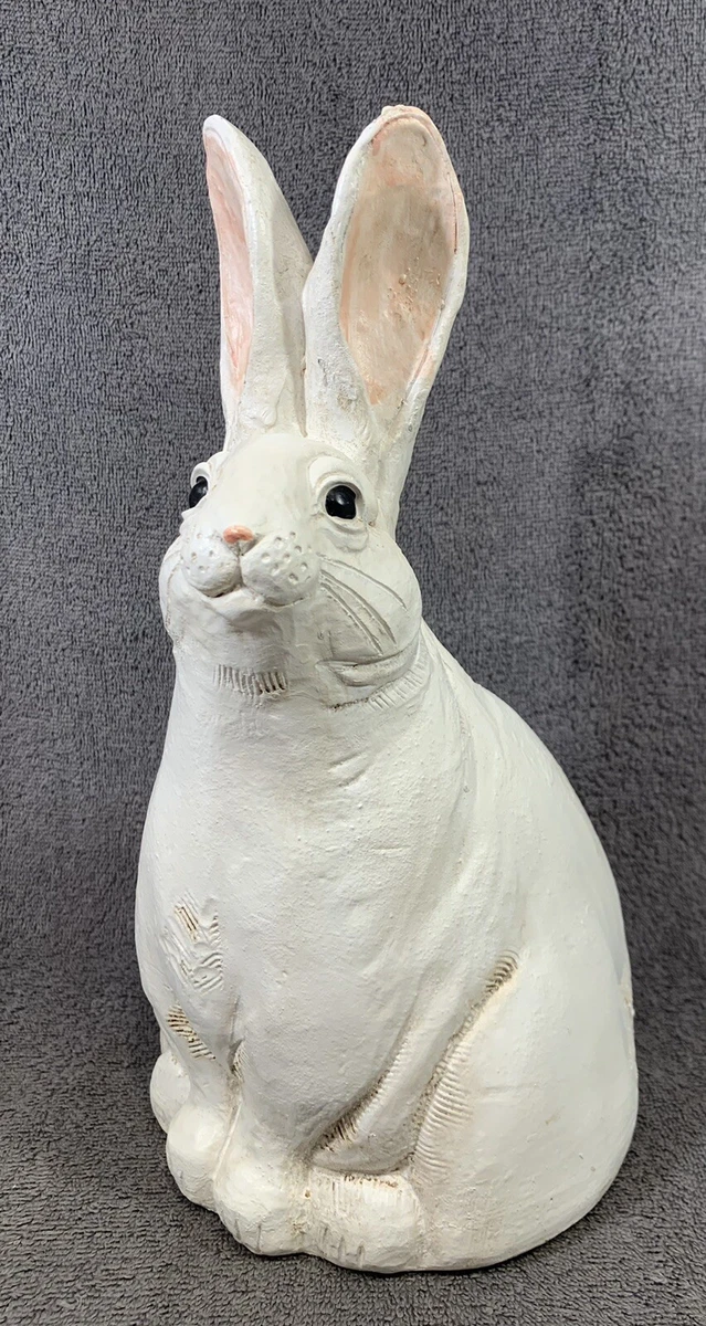 Fat Bunny Rabbit