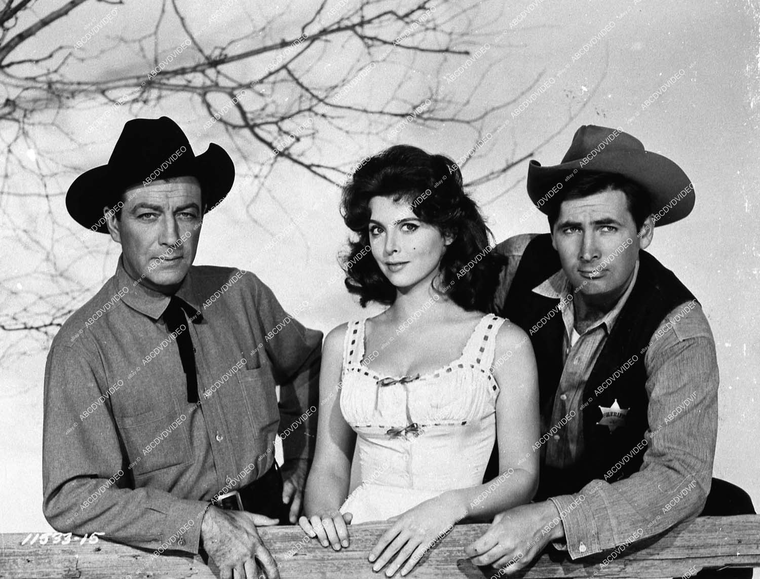 5474-2 Robert Taylor, Tina Louise, Fess Parker - 1959 film The Hangman 5474-002 | eBay