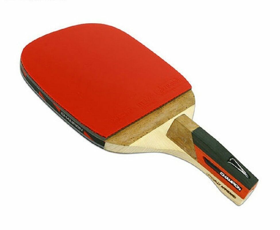 Table Tennis Racket XIOM V3.5P Penhold Paddle Ping Pong Paddle Bats | eBay