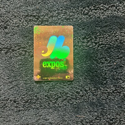 1991 Upper Deck Hologram Team Logo Sticker! The Expos! Just One! | eBay