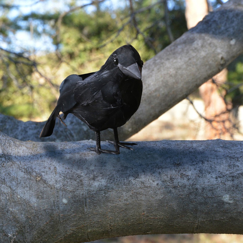 Halloween Artificial Raven Crow Realistic DIY Birds Crafts Theme Party ...