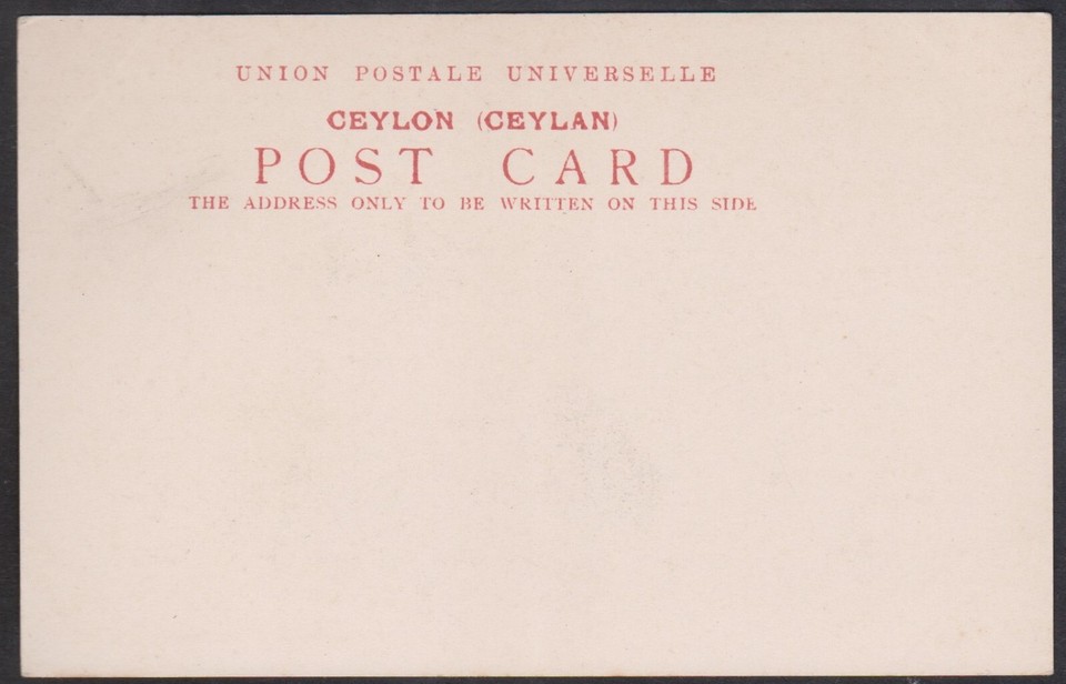 VINTAGE POSTCARD CEYLON/SRI LANKA YOUNG RODIYA WOMAN TOPLESS/RISQUE | eBay