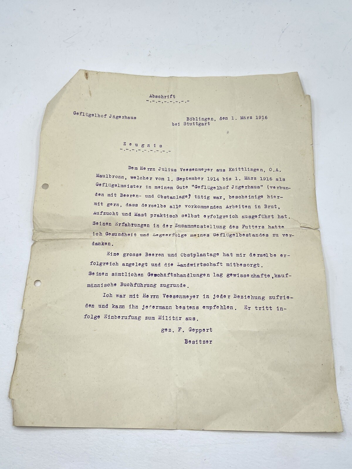 WW1 German Transcript Letter Of Recommendation From Employer To ...