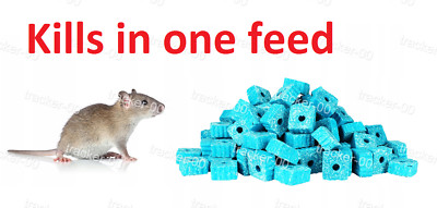 Strong Rat Poison Single Feed Rat & Mouse Killer Poison Bait Blocks 50g ...