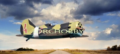 Polikarpov I-16 Rata 60" Wingspan R/C Airplane Laser Cut Balsa & Ply ...