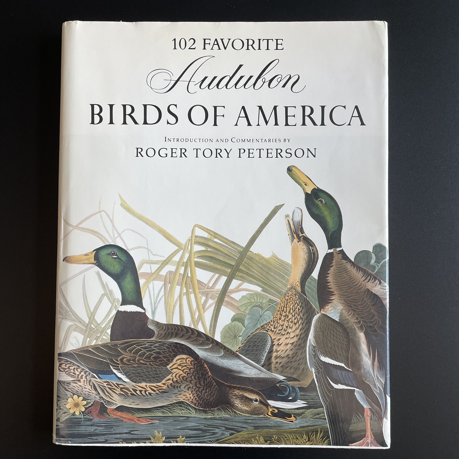 102 Favorite Audubon Birds of America Roger Tory Peterson Hardcover ...