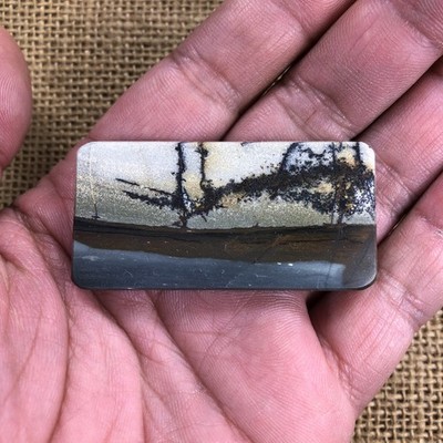 Tree River - Scenic Cherry Creek Jasper pendant Cab or Bead 10209 ...