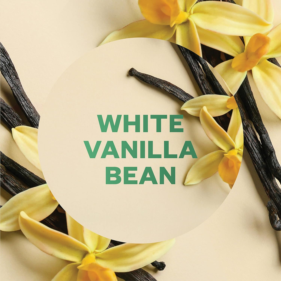 Air Wick Electrical Plug in Refills, White Vanilla Bean, 19Ml Refill X ...