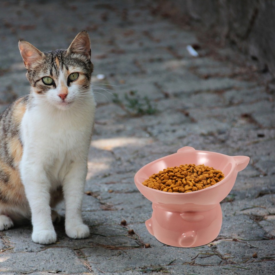 Cute Elevated Cat Bowls Ceramic Raised Cat Bowl With Non-Slip Base For ...