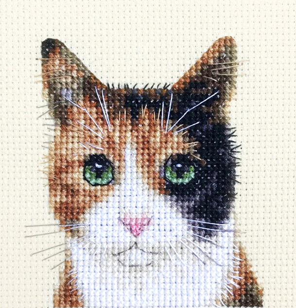 CALICO, TORTOISESHELL CAT, KITTEN - Full counted cross stitch kit- Fido ...
