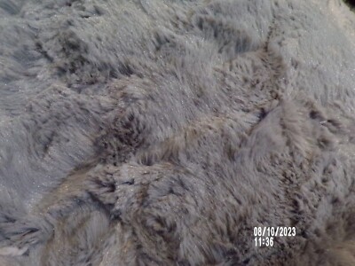 Light Grey Luxurious Fur Fabric - 60" wide - 5 yards available | eBay