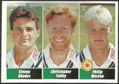 PANINI CRICKET 95- #159-WORCESTERSHIRE-STEVEN RHODES/CHRIS TOLLEY ...