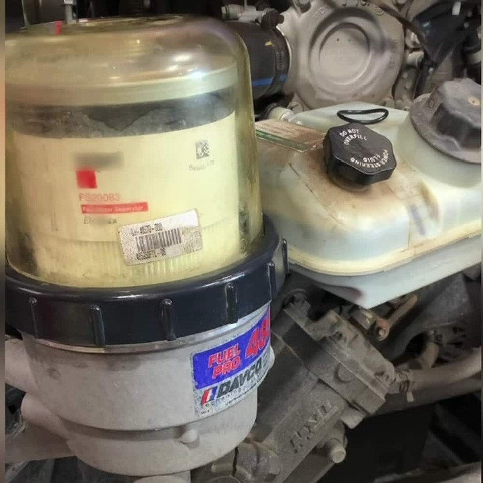 For FS20083 Fuel Water Separator Filter (6 Pack) | eBay