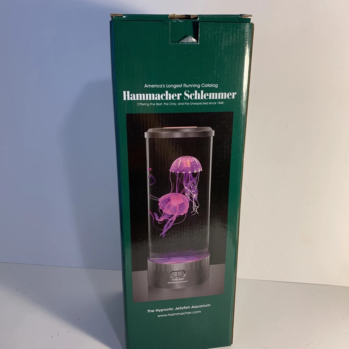 Box Jellyfish Aquarium