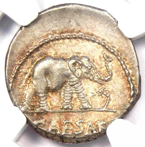 Julius Caesar AR Denarius Silver Elephant Roman Coin 49 BC - Certified ...